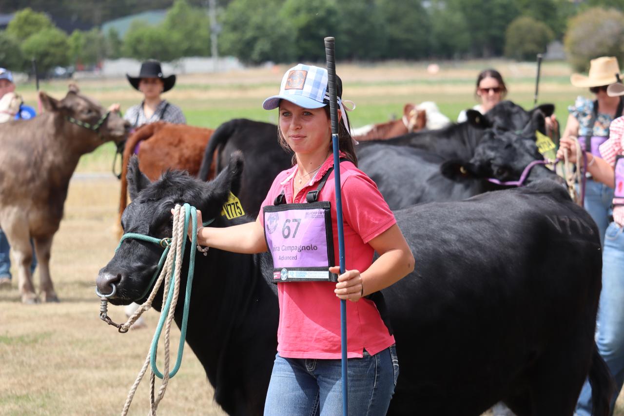 Young cattle handlers learn the ropes | Tasmanian Country Newspaper